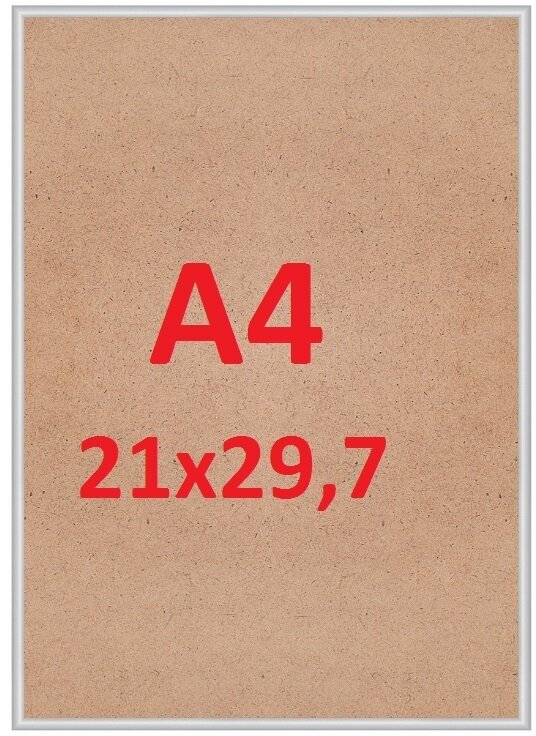 Рамка А4 (21х29.7) нельсон алюминий серебро №2