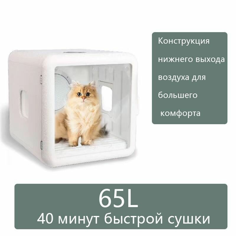 Автоматическая сушка для кошек и собак
