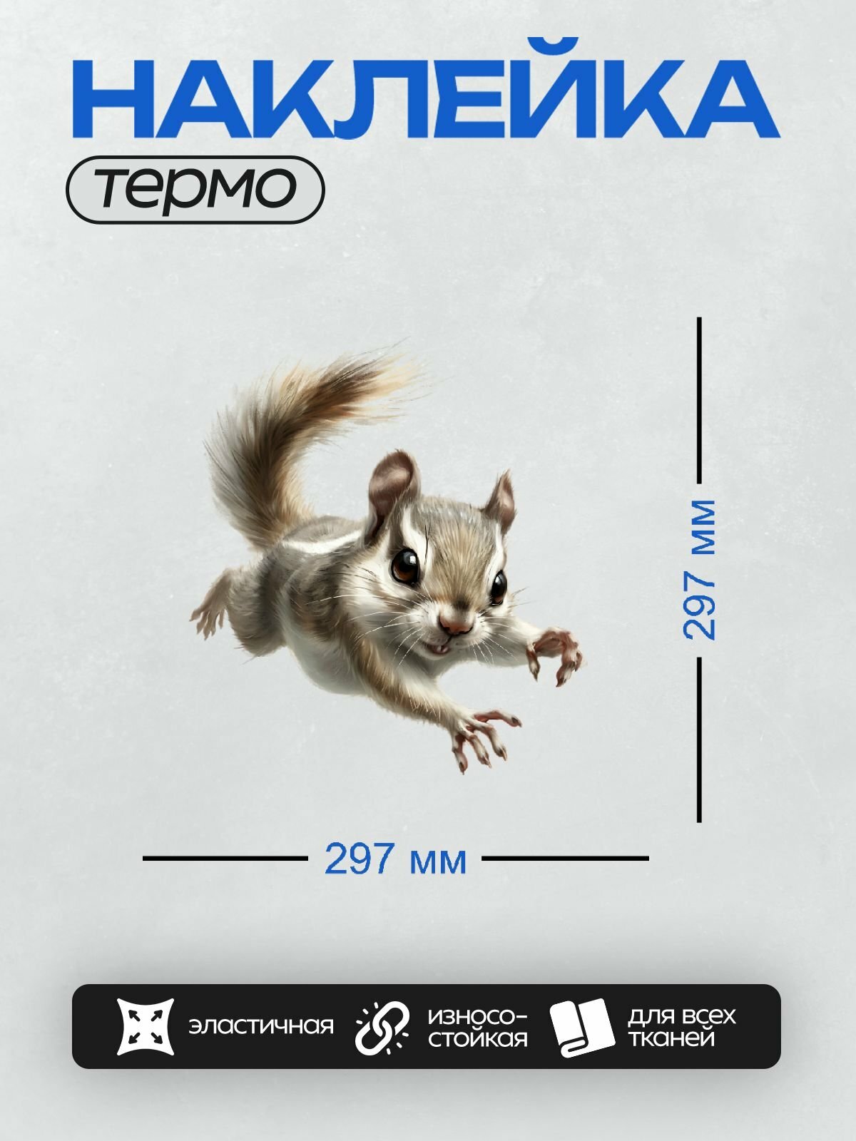 Термонаклейка PrintyFull на одежду DTF / Белка с большими глазами