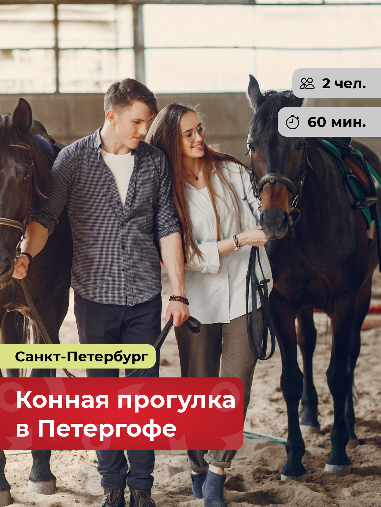 Подарочный сертификат bonodono Конная прогулка в Петергофе «Лошадиные истории.», Санкт-Петербург