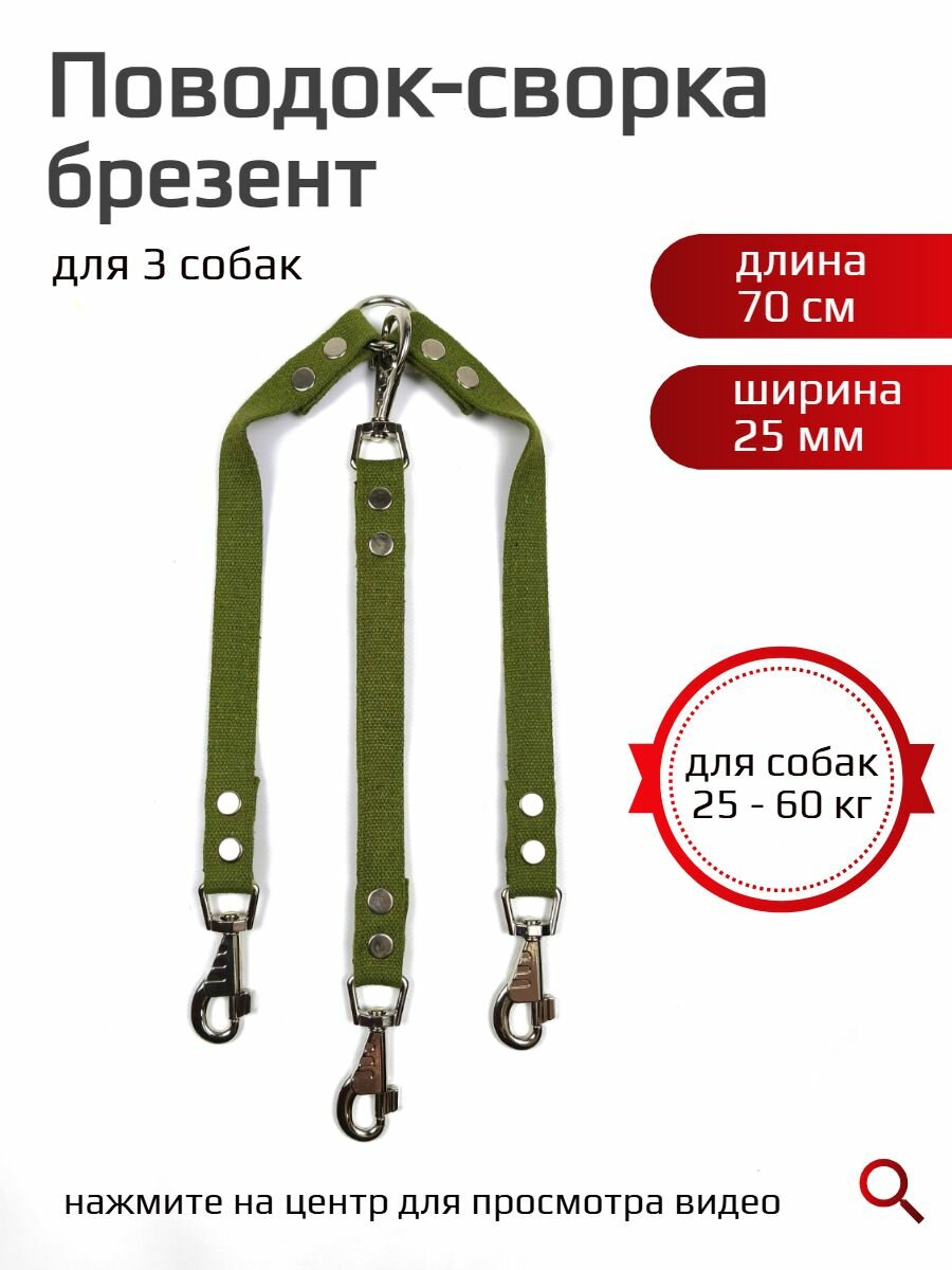Сворка Хвостатыч для трёх собак брезент 70 см х 25 мм (зеленый)