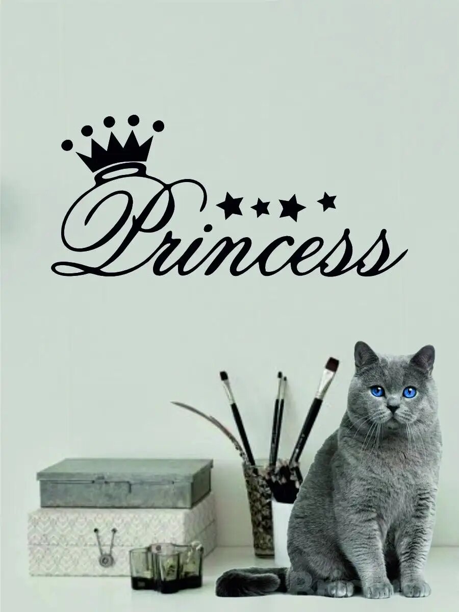 Наклейка на стену для декора интерьерная Princess
