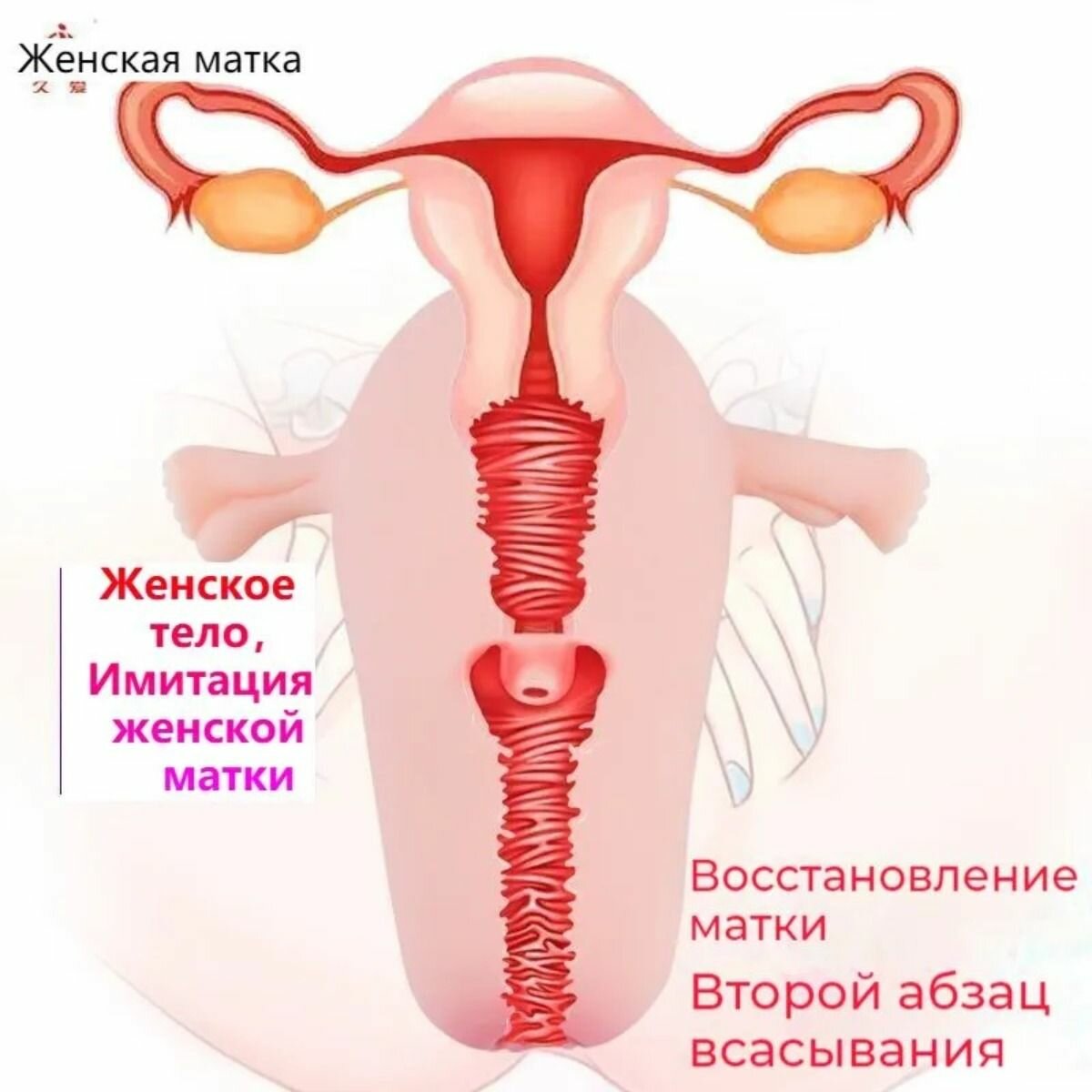 Чашка для мастурбатора