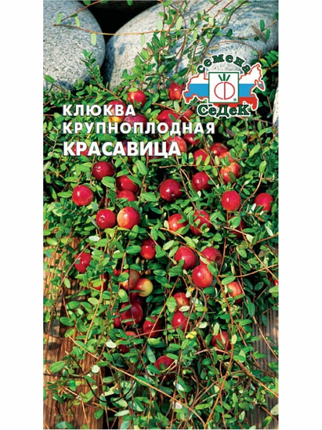 Семена Клюква Красавица, седек, 1 пачка - 0.05г семян