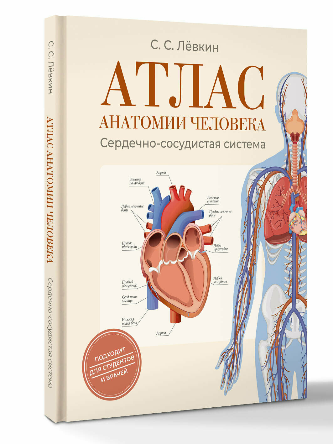 Атлас анатомии человека. Сердечно-сосудистая система Лёвкин С. С.