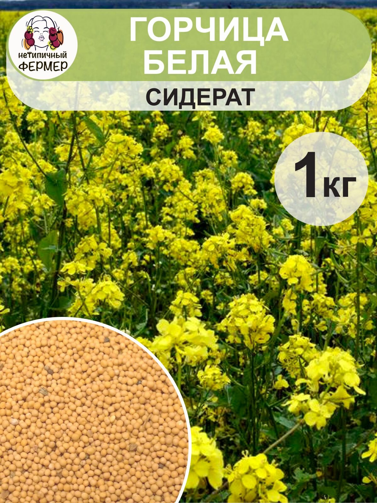 Семена горчицы Нетипичный фермер, для огорода, для всех регионов, однолетние