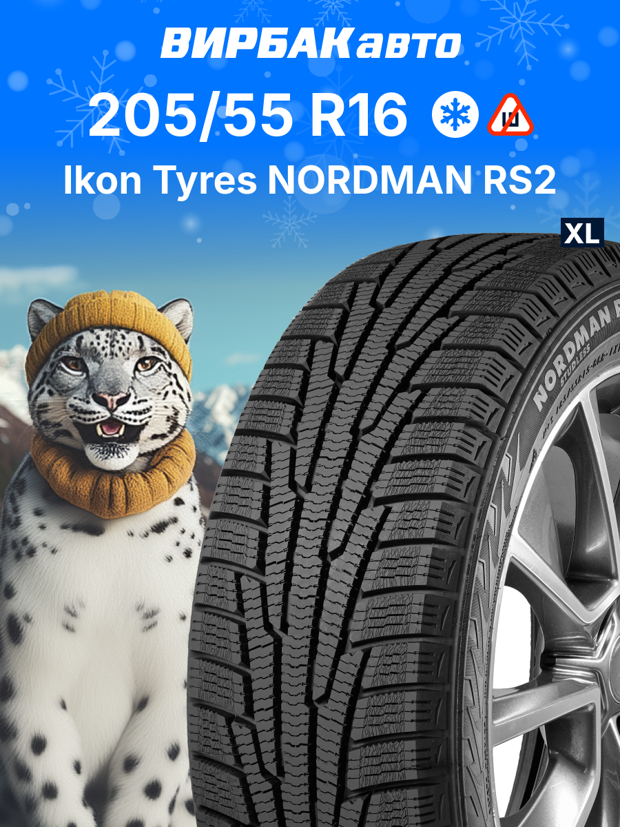 Зимние шины Ikon Nordman RS2 (Character Snow 2) 205/55 R16 94R XL