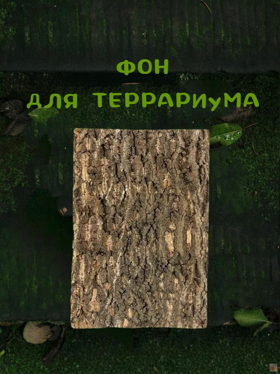 Фон для террариума