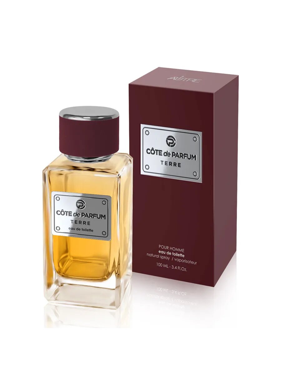 Парфюмерная вода Поли Парфюм Cote De Parfum TERRE 100ml (аромат Terre Hermes) для мужчин