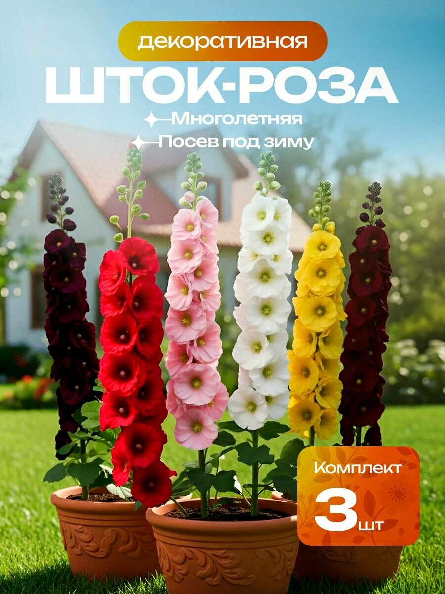 Семена цветов шток-роза Морозостойкая