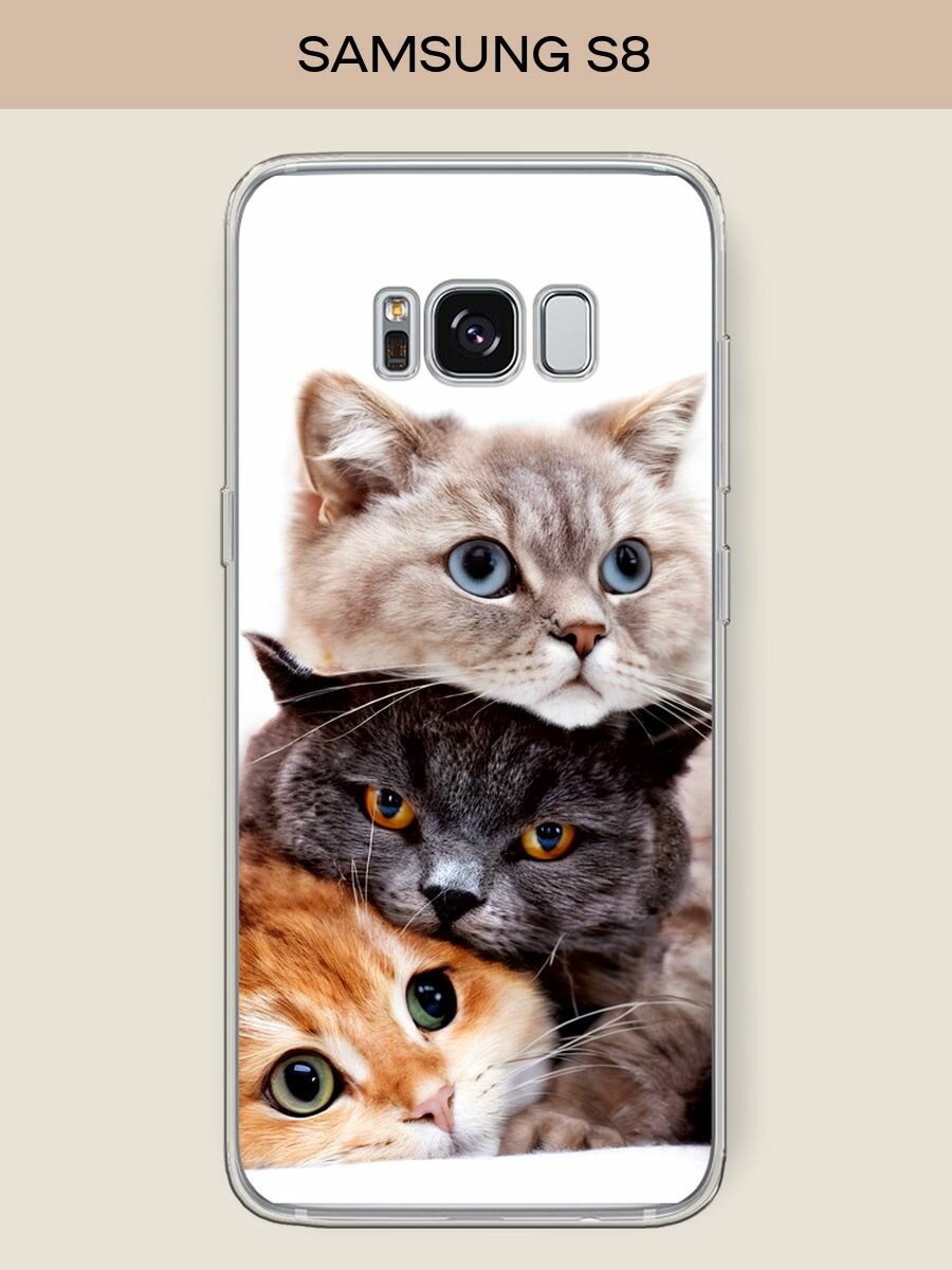 Чехол на Samsung Galaxy S8 / Самсунг Галакси С8 с принтом "Пушистые мордашки"