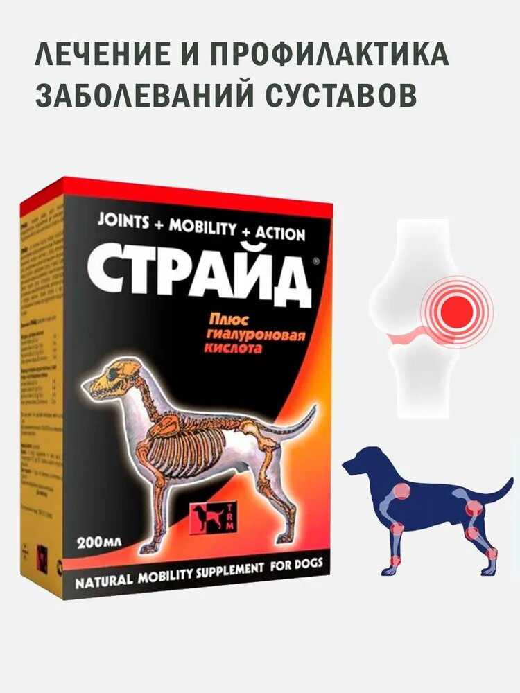Страйд плюс кормовая добавка для собак для нормализации и поддержания функций опорно-двигательного аппарата - 200 мл