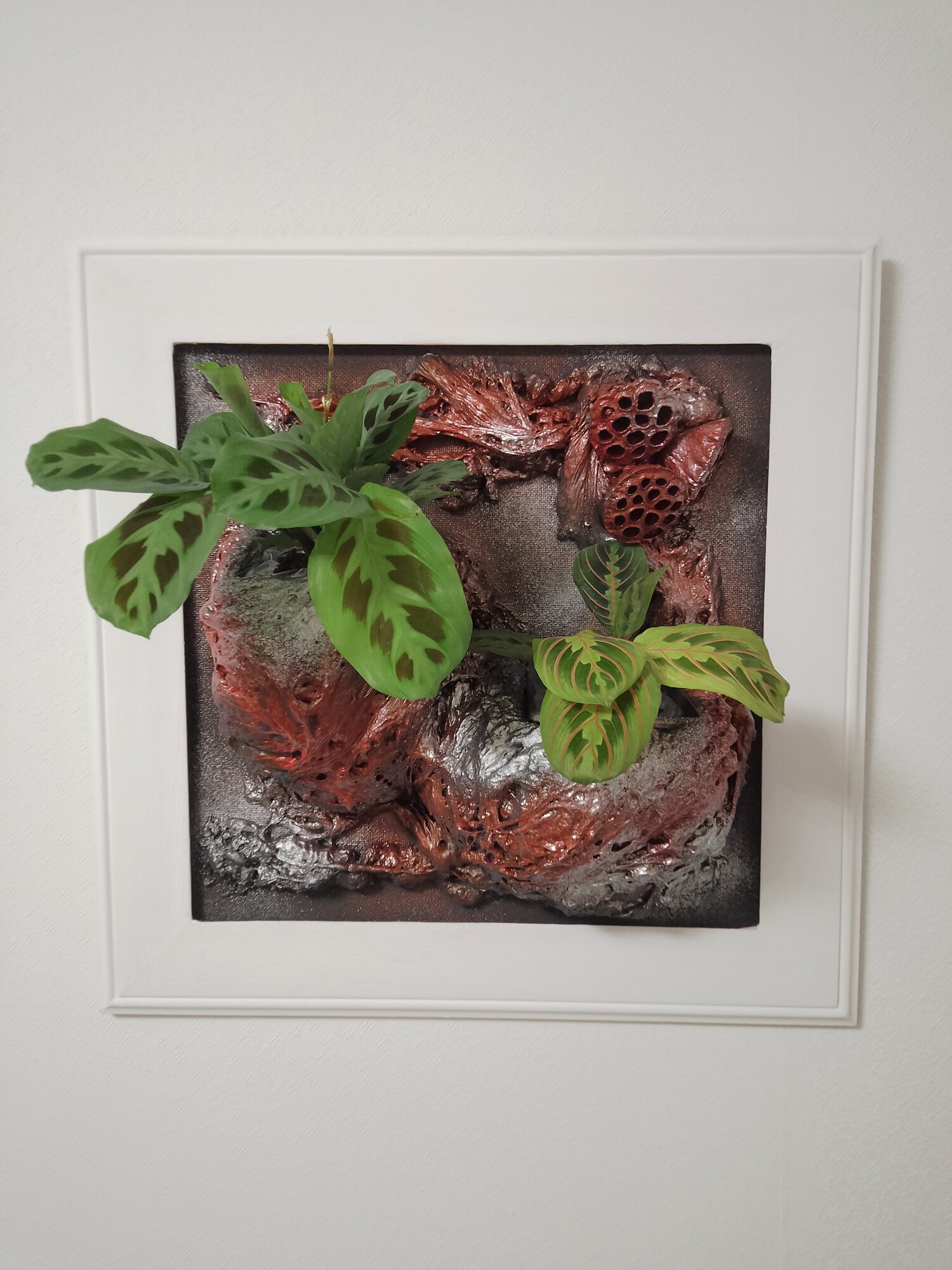 Фитокартина из живых растений. Вертикальное озеленение. Декор для стен. Панно. Горшечные растения. Современный стиль