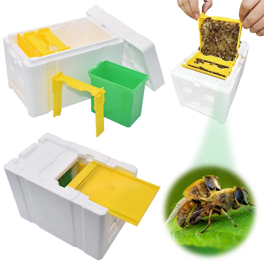 Пенопластовая коробка для пчел, универсальная коробка для разведения пчел, пенопластовый пчелиный улей, выращивающий улей для пчел, поставщики пчеловода