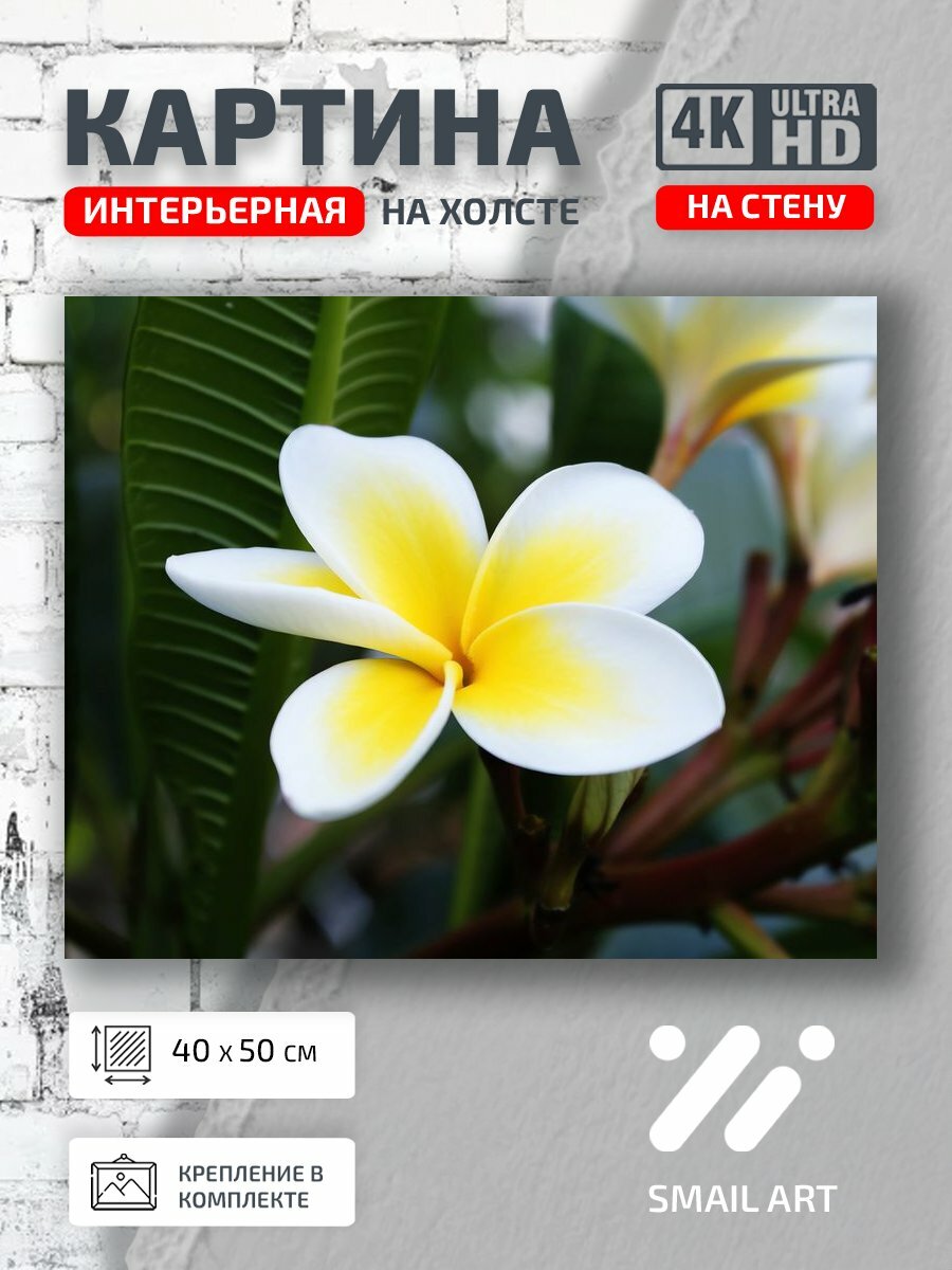 Картина на холсте интерьерная 40 на 50 на стену Цветка Mood для студии атмосфера интерьер