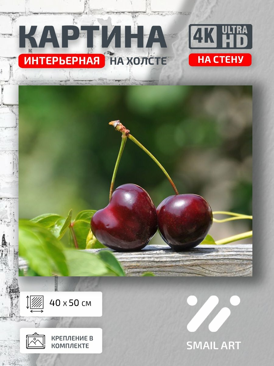 Картина на холсте интерьерная 40 на 50 на стену Спелая Food для кухни кулинария интерьер