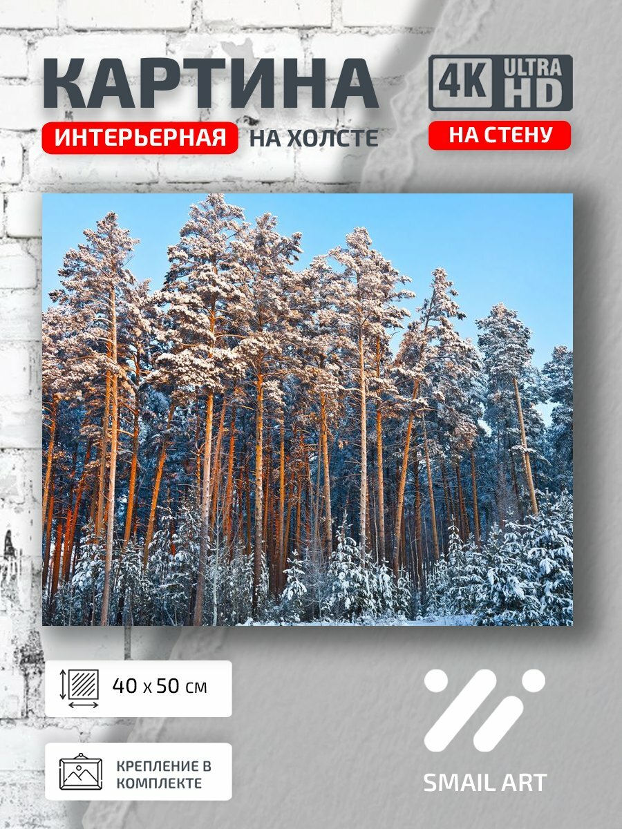 Картина на холсте интерьерная 40 на 50 на стену Иней forest для спальни пейзаж интерьер