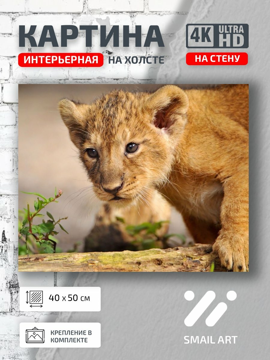 Картина на холсте интерьерная 40 на 50 на стену Дереву Mood для студии атмосфера интерьер