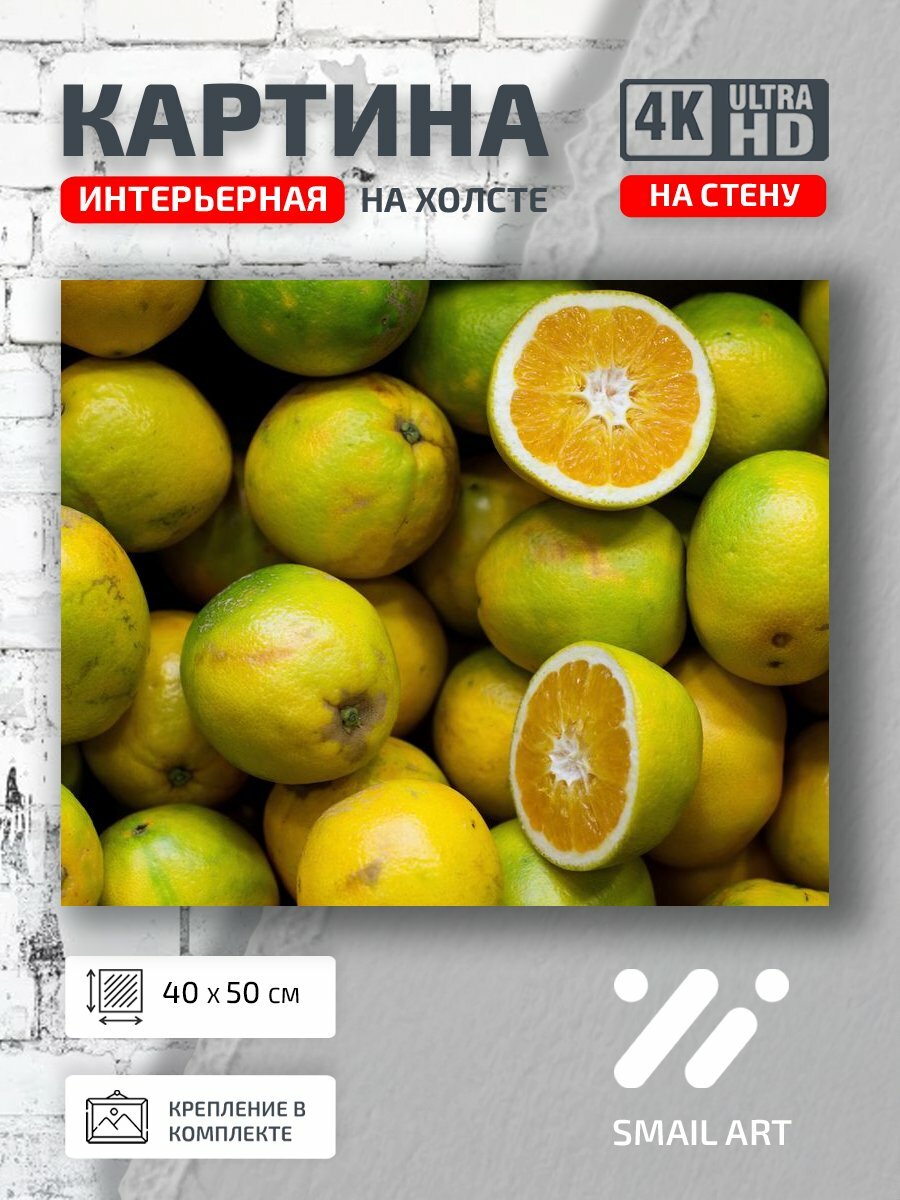 Картина на холсте интерьерная 40 на 50 на стену Зеленый Food для гостиной кулинария декор