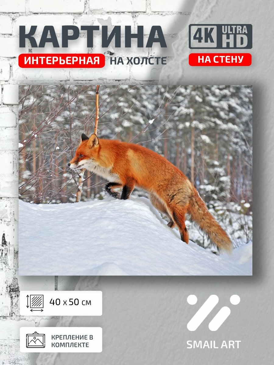 Картина на холсте интерьерная 40 на 50 на стену Лиса Animal для спальни animal style декор