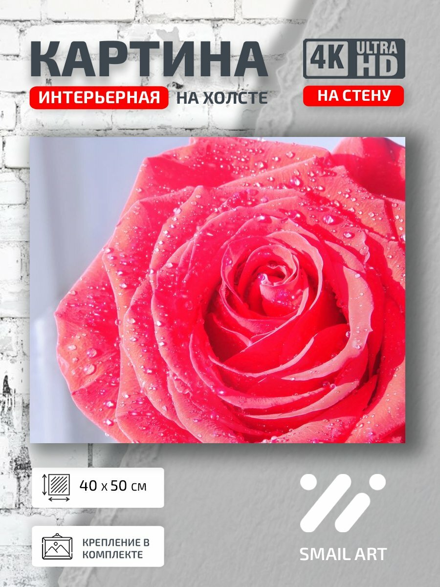 Картина на холсте интерьерная 40 на 50 на стену Капли Mood для спальни атмосфера интерьер