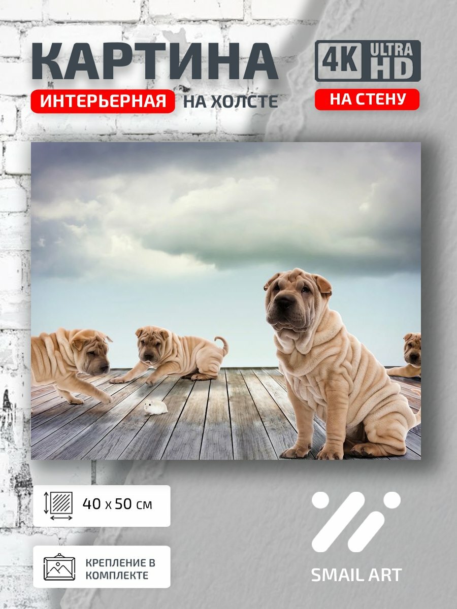 Картина на холсте интерьерная 40 на 50 на стену Собаки Mood для офиса атмосфера интерьер
