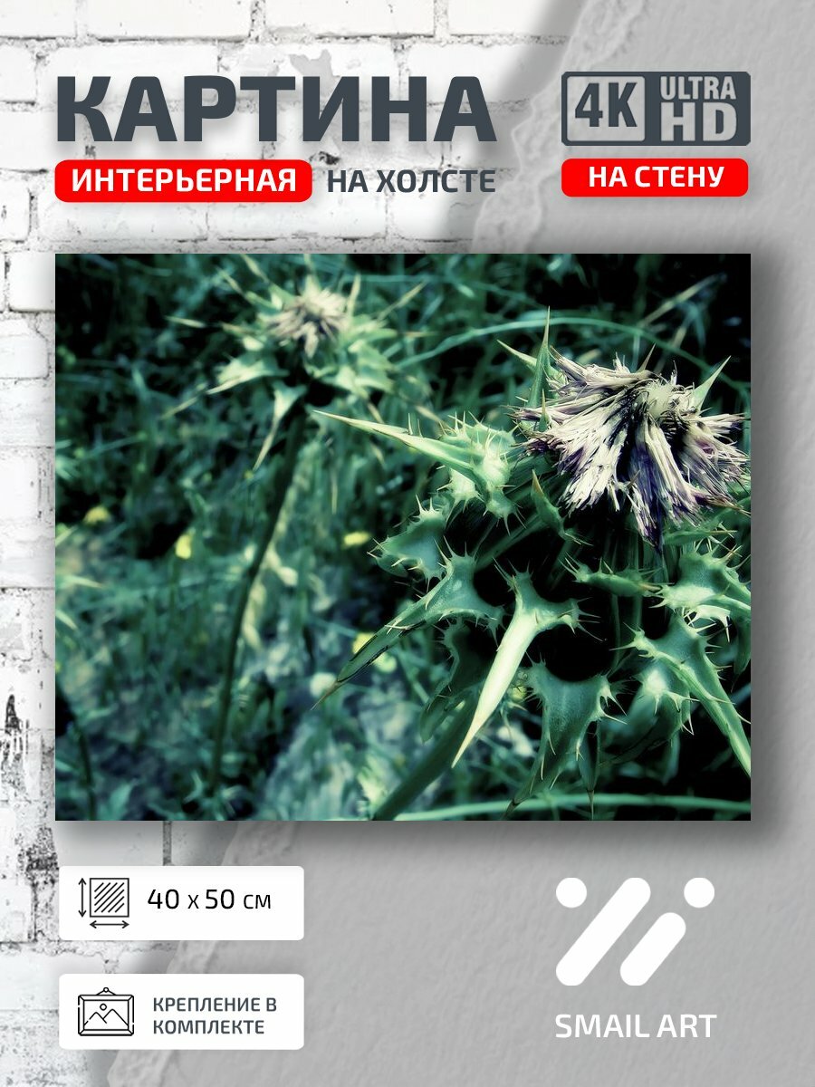 Картина на холсте интерьерная 40 на 50 на стену Колючка Landscape для спальни пейзаж декор