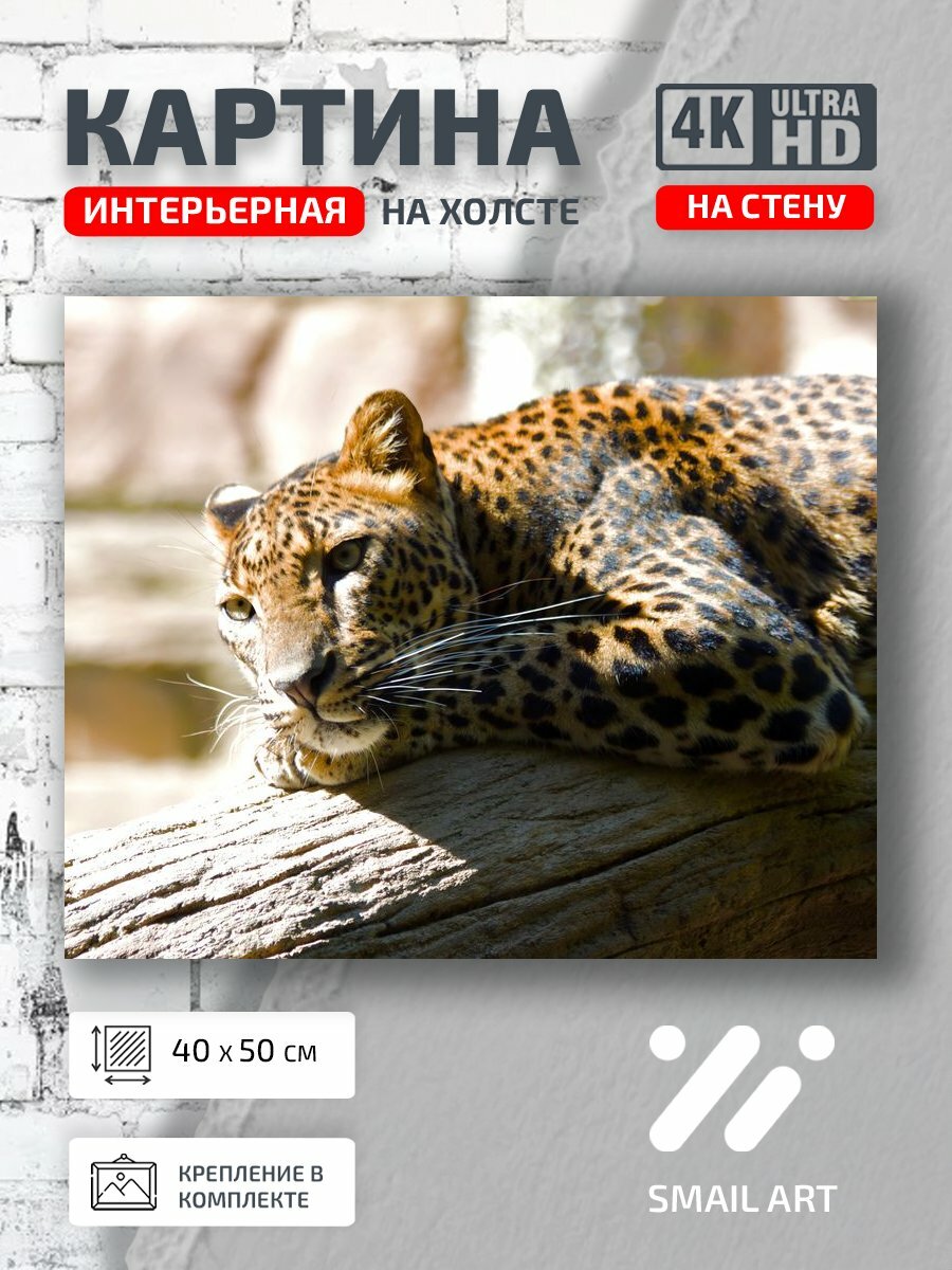 Картина на холсте интерьерная 40 на 50 на стену Леопард Landscape для спальни пейзаж декор