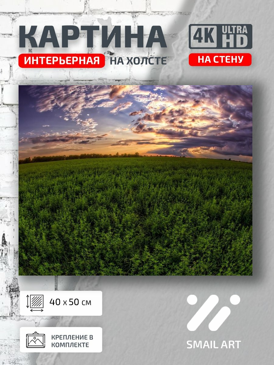 Картина на холсте интерьерная 40 на 50 на стену Закате Landscape для офиса пейзаж интерьер
