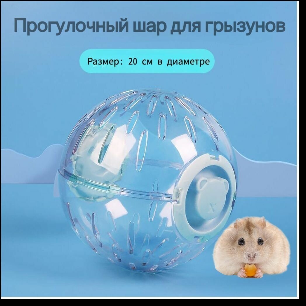 Прогулочный шар для грызунов и хомяков