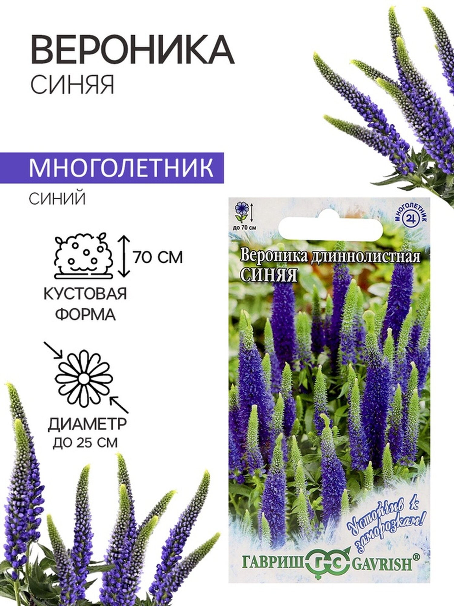 Семена Гавриш Вероника "Синяя", цветной пакет, вес 0.02 грамма