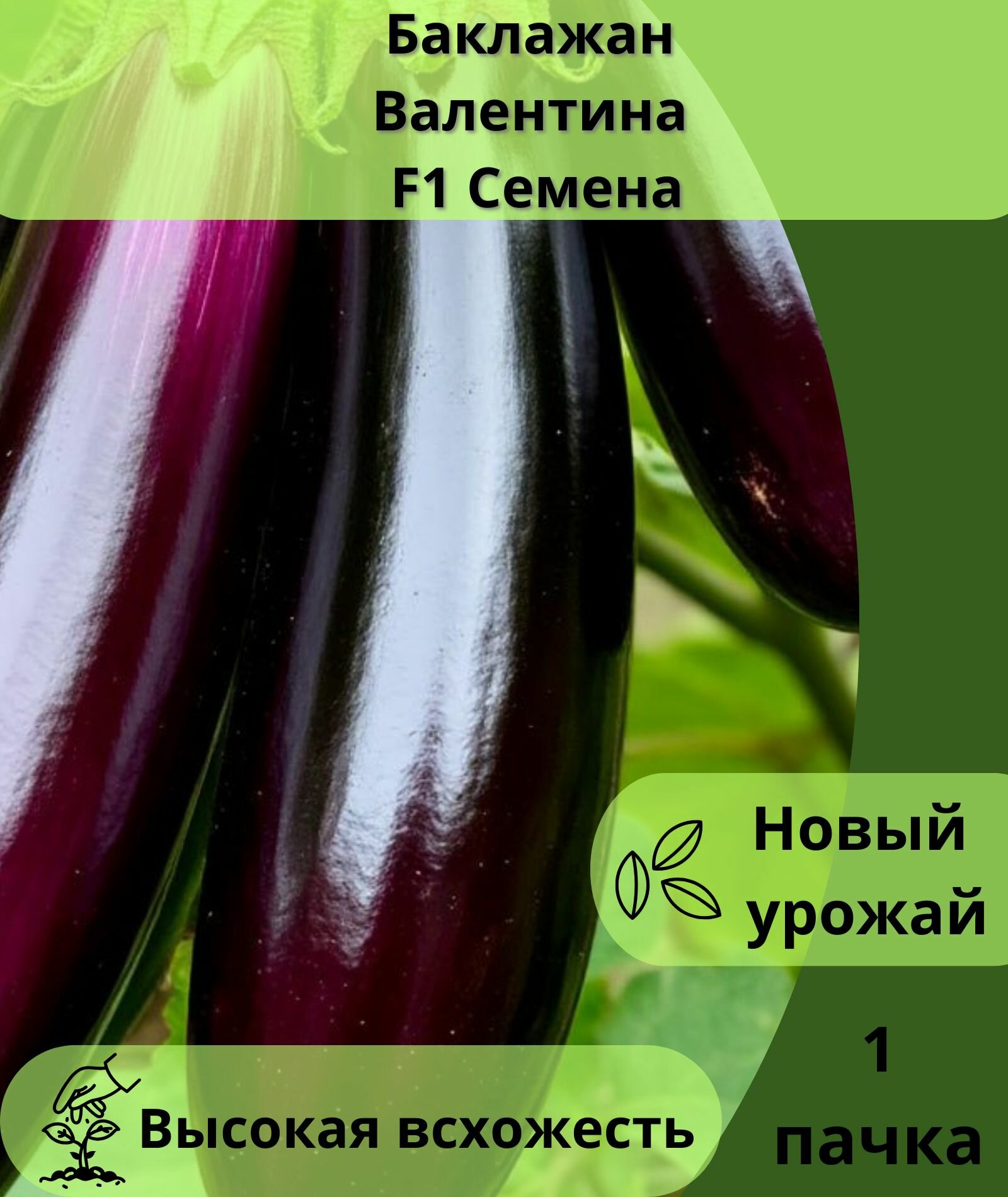 Баклажан Валентина F1, семена 10шт