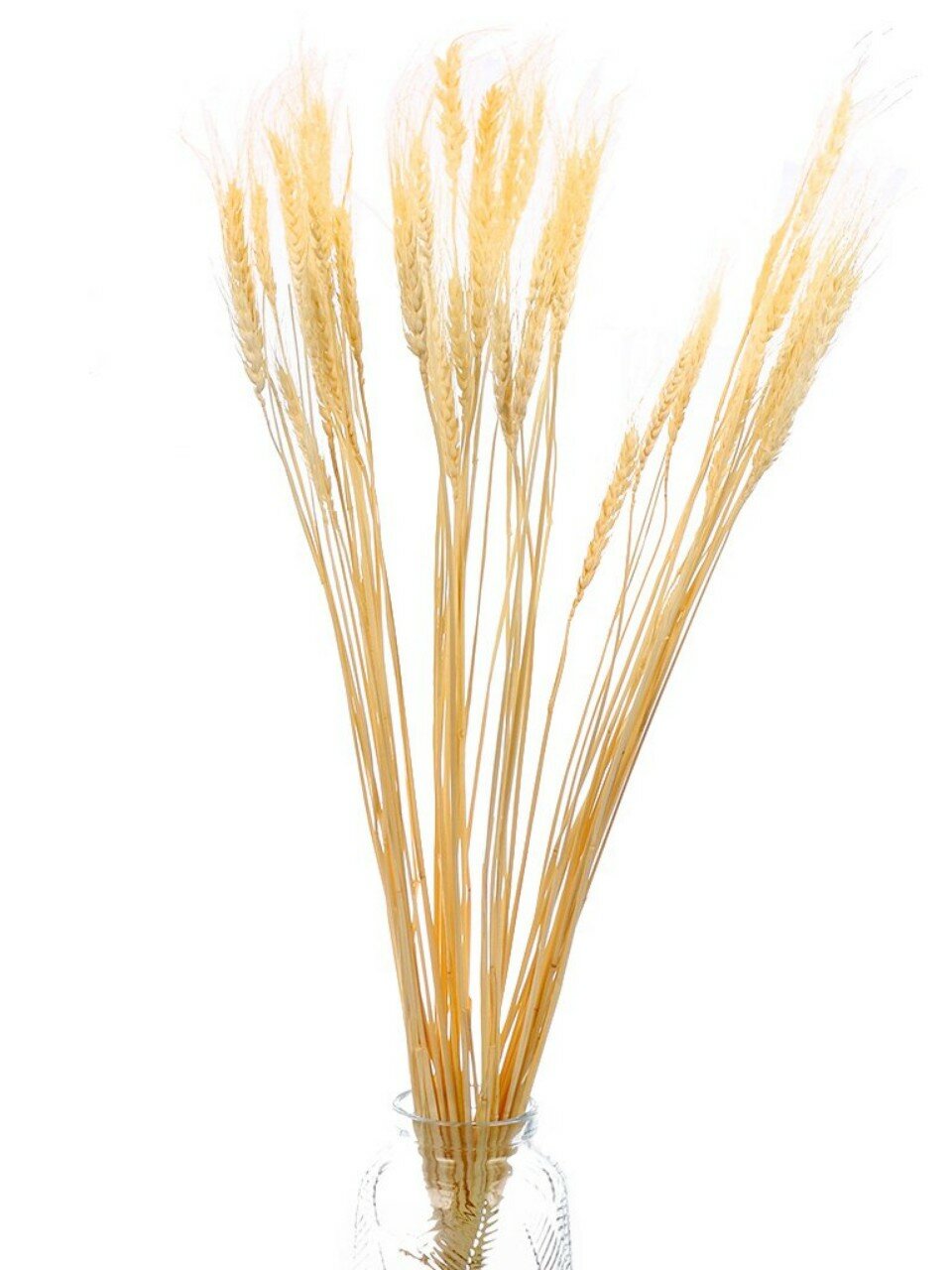 Искусственный декоративный цветок Колосья, 70 см, бежевый, для дома и офиса