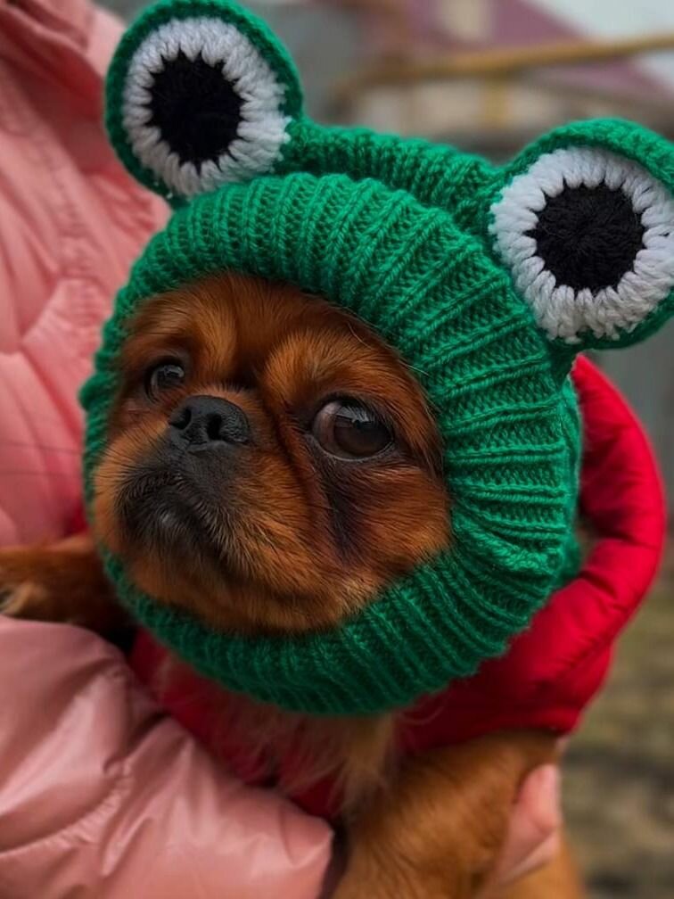 Украшение для животных