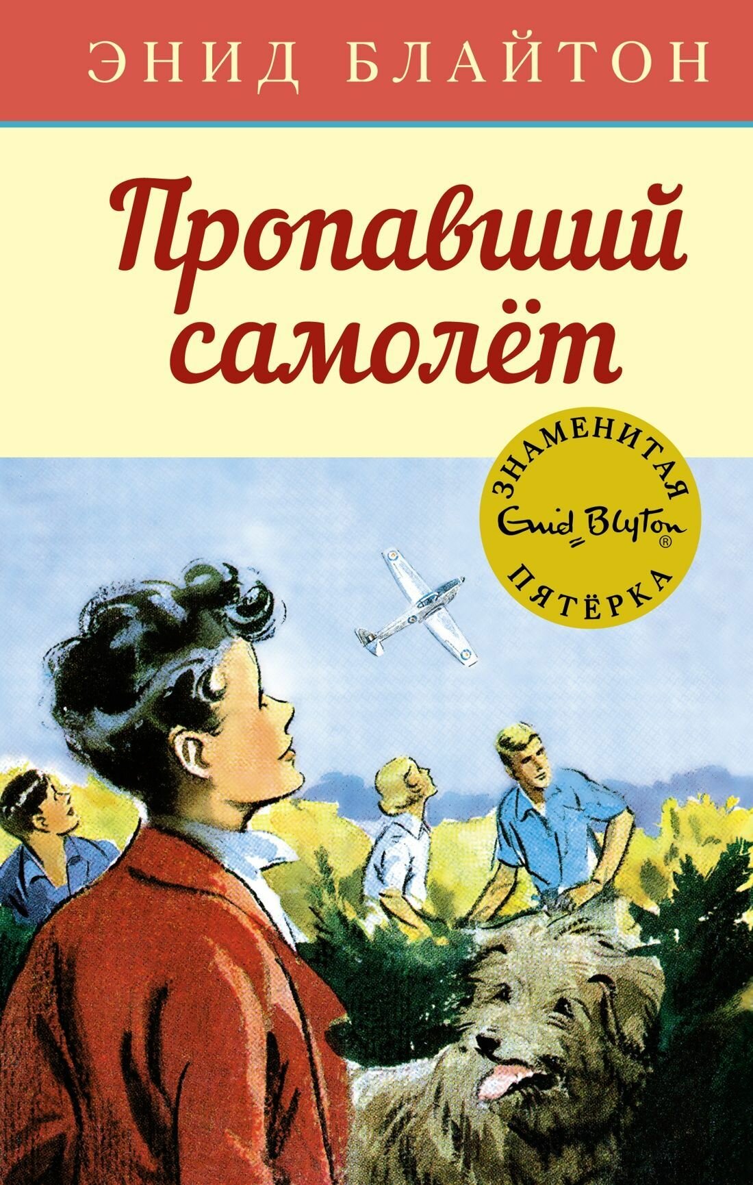 Книга "Пропавший самолёт"
