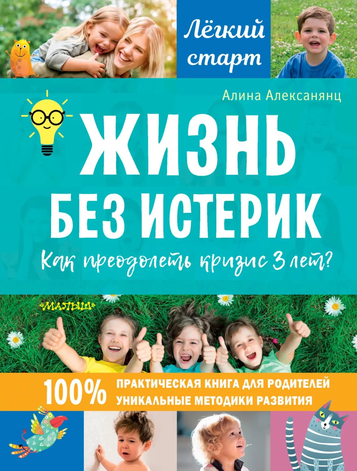 Жизнь без истерик. Как преодолеть кризис 3 лет? [Цифровая книга]
