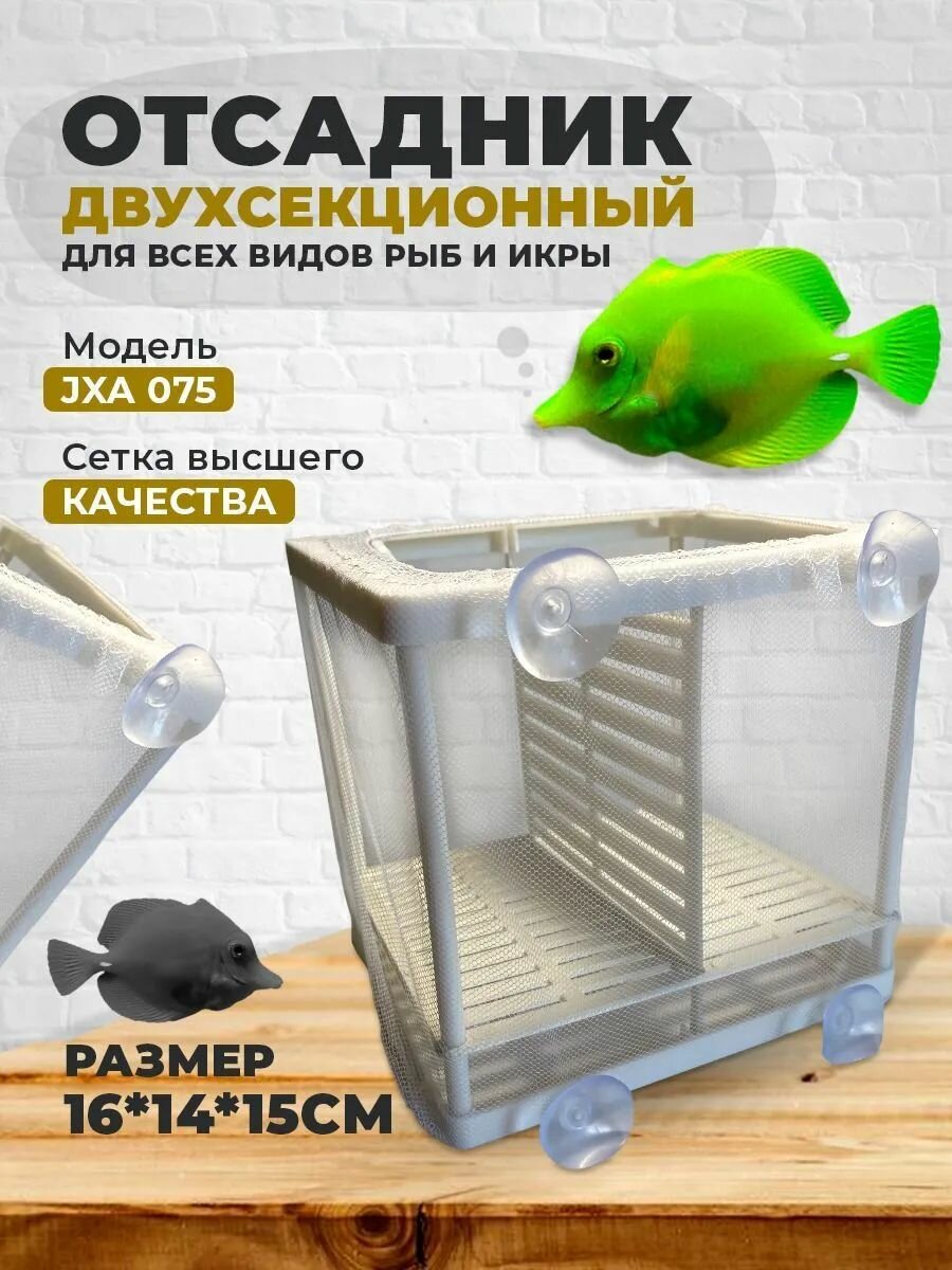 Отсадник для рыб с сеткой и перегородками 16х14х15 см