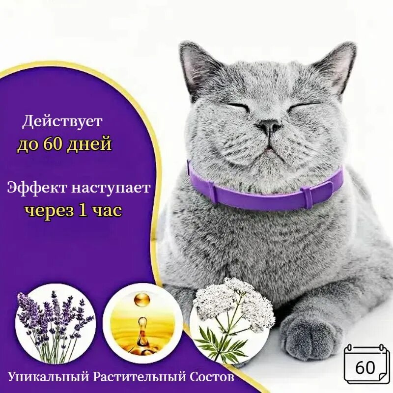 Успокаивающий ошейник с феромонами для кошек, успокаивающий на 60 дней