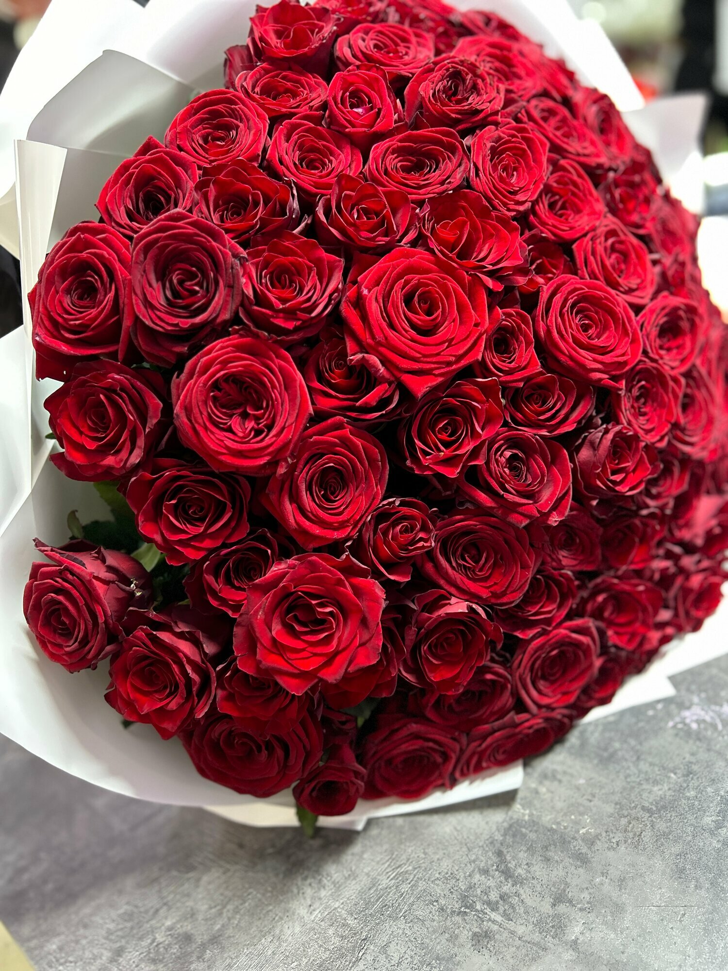 Букет Премиум «Королевская страсть»: 51 крупнолистовая бордовая роза 70 см