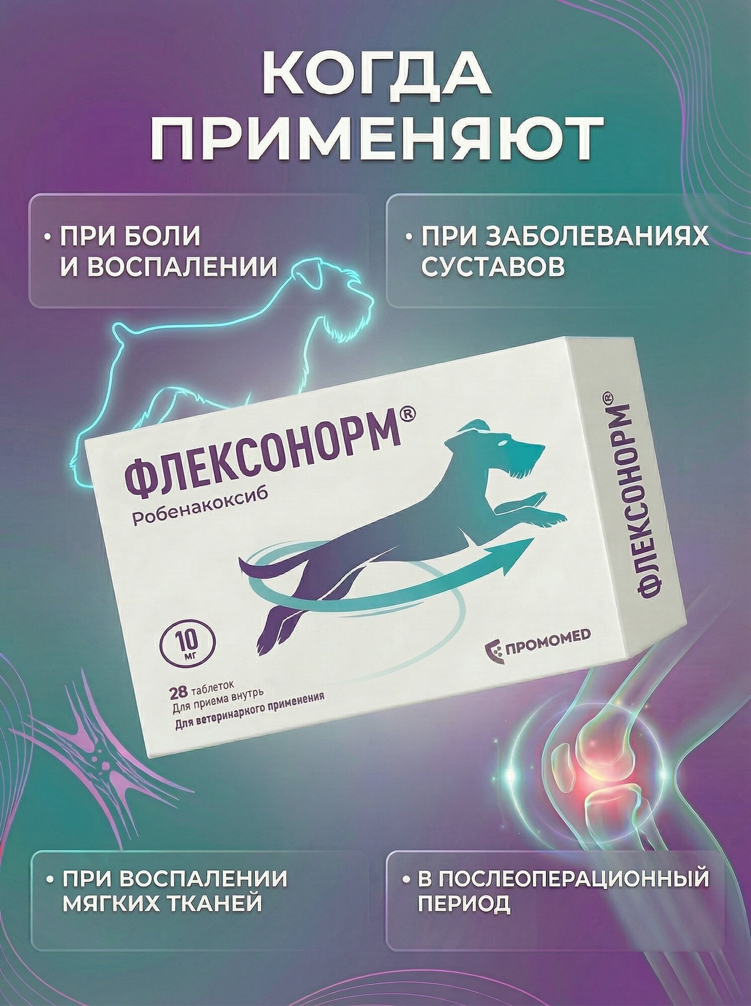 Таблетки Промомед "Флексонорм", для собак, противовоспалительные, 10мг, 28 шт — фото 1