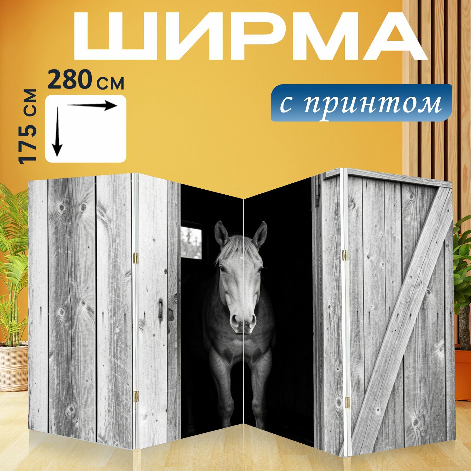 Ширма "Лошадь в дверном проеме. Черно-белый сельский сюжет: грациозный конь стоит в распахнутом деревянном." перегородка для зонирования комнаты с принтом 280x175 см. на холсте