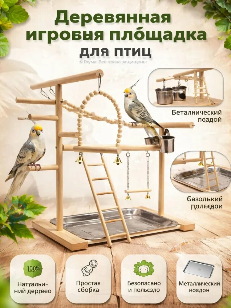Стенд Для Попугая