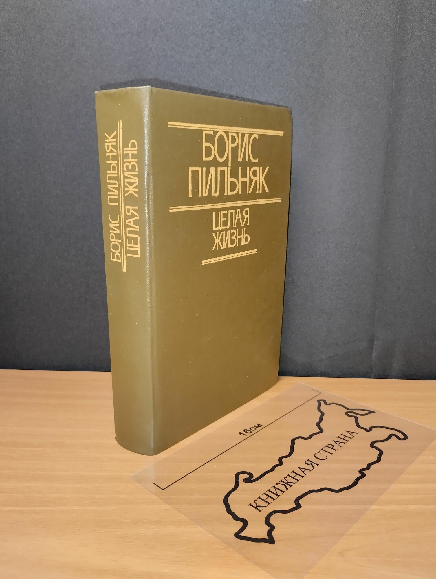 Целая жизнь. Борис Пильняк. 1988