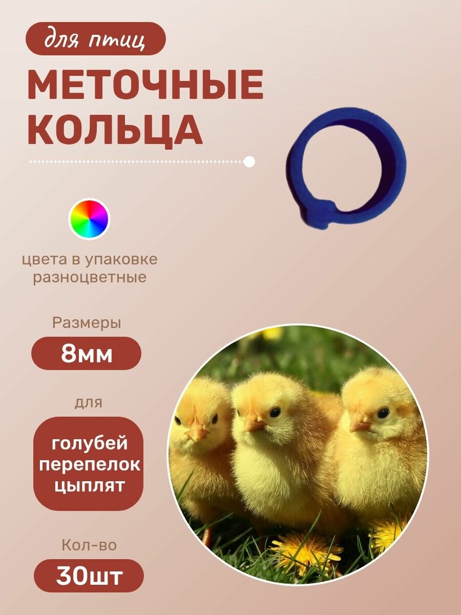 Меточные кольца для цыплят, перепелок, голубей 8мм, 30шт, разноцветные