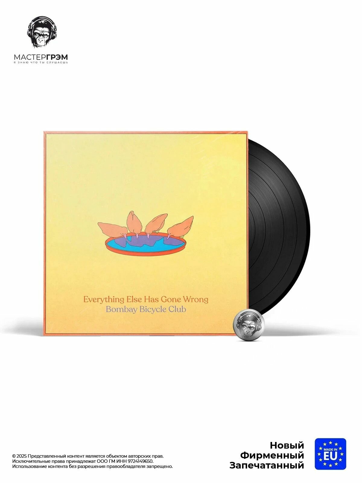 Виниловая пластинка Bombay Bicycle Club - Everything Else Has Gone Wrong (LP) 2020