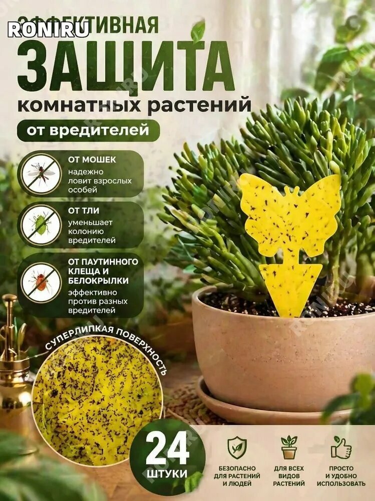 24 липкие ловушки для защиты комнатных растений от мошек, тли, паутинного клеща и белокрылки безопасное и эффективное решение для здоровых растений