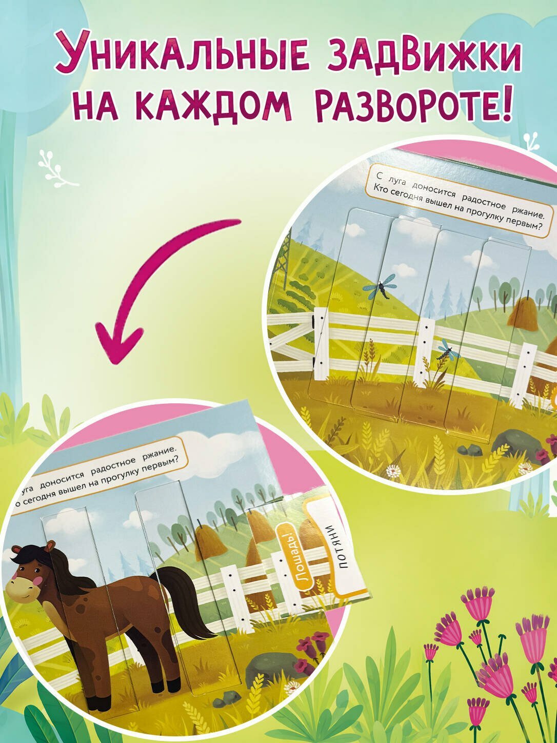 Кто где живет? — фото 1