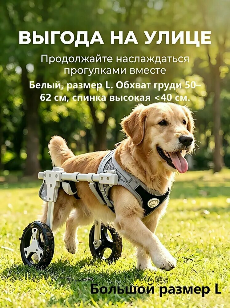 Инвалидная коляска для домашних животных с двумя задними колесами размера L