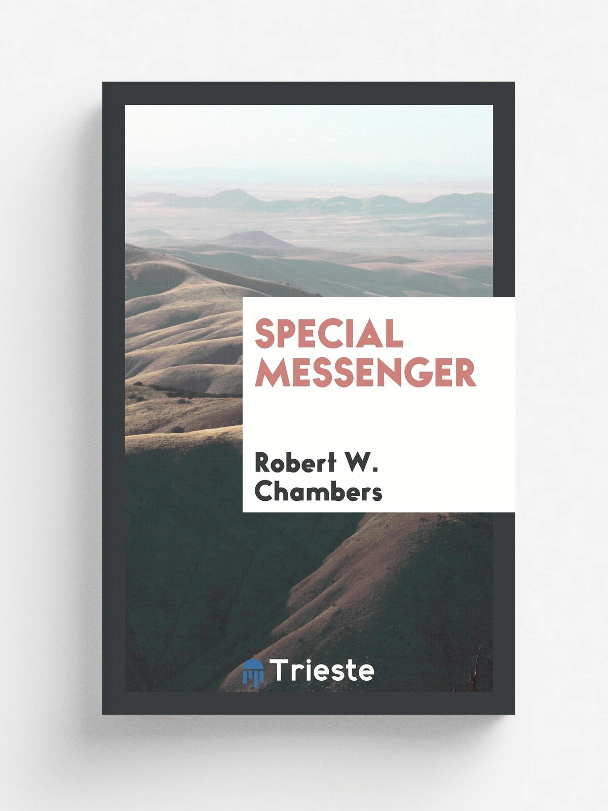 Special messenger
