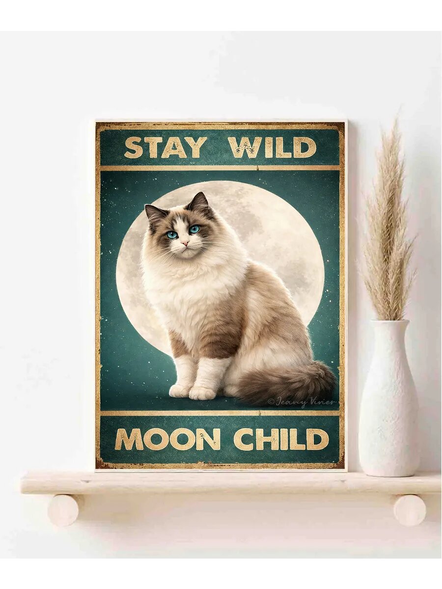 Рэгдолл (Ragamuffin), Stay Wild Moon Child, Плакат 30x42см